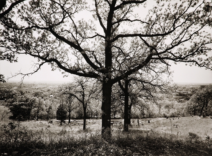 Larry Ferguson | Modern Arts | Contemporary Fine Art Gallery | Omaha ...