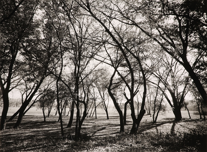 Larry Ferguson | Modern Arts | Contemporary Fine Art Gallery | Omaha ...