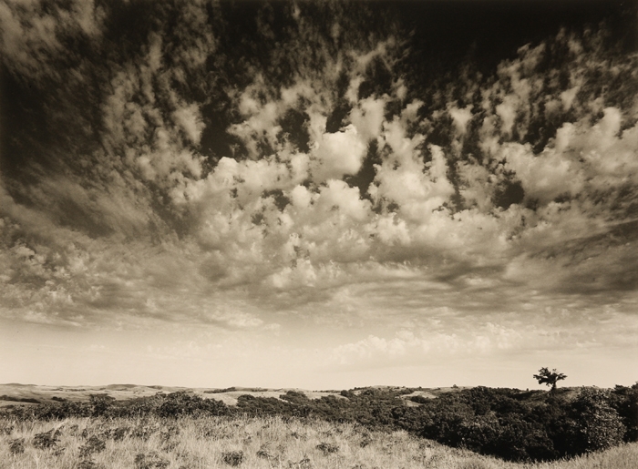 Larry Ferguson | Modern Arts | Contemporary Fine Art Gallery | Omaha ...