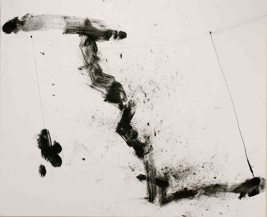 2117 - Hanging By a Wire by Larry Roots